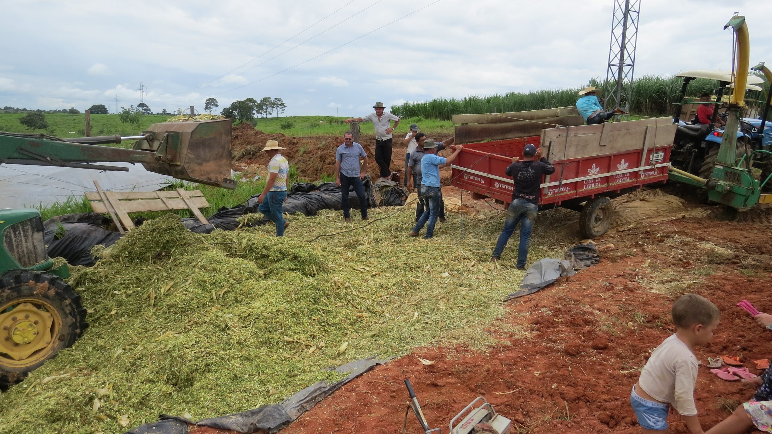 PARCERIA PREFEITURA COM PRODUTORES NA PRODUÇÃO DE SILAGEM - Prefeitura ... PARCERIA PREFEITURA COM PRODUTORES NA PRODUÇÃO DE SILAGEM - Prefeitura ...